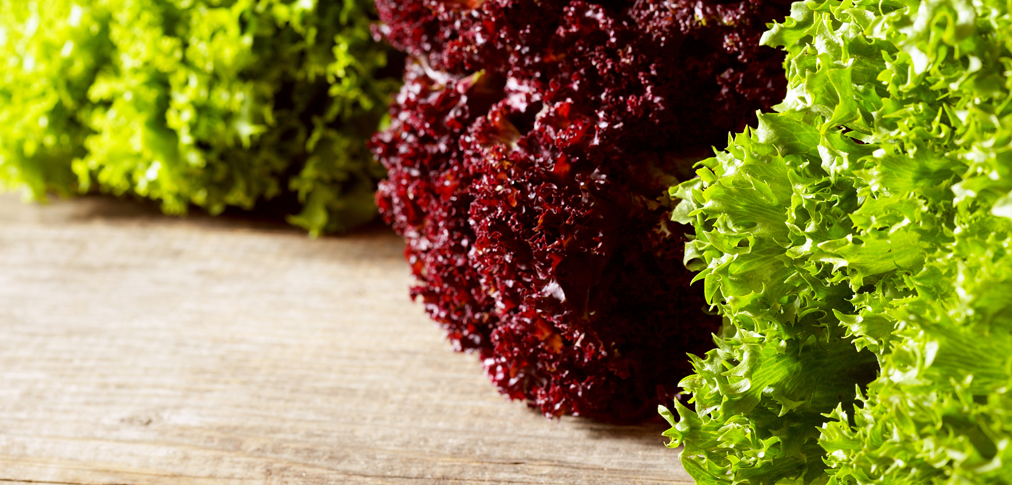 Charlie's Produce | Organic Fruit & Vegetable Wholesale Distribution