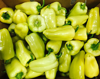 Boise | Charlie's Produce