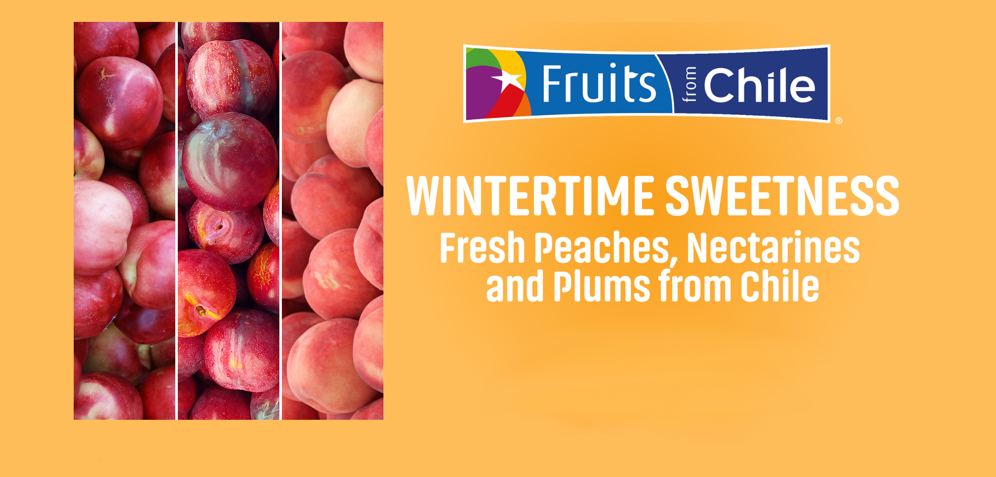 Charlie's Produce | Fruit & Vegetable Wholesale Distribution