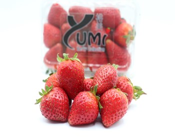 The Charlie’s Story | Charlie's Produce