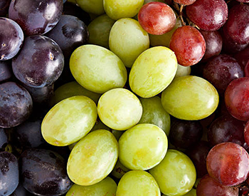 Charlie's Produce | Fruit & Vegetable Wholesale Distribution