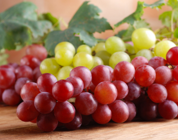 Our Products | Charlie's Produce