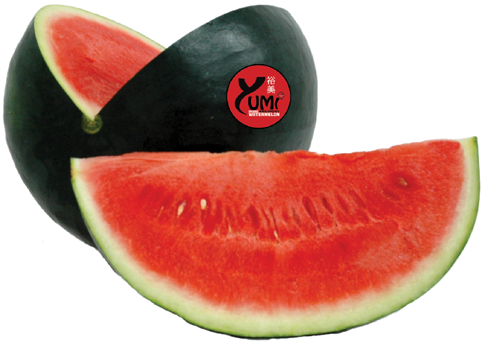 Charlie's Produce | Fruit & Vegetable Wholesale Distribution